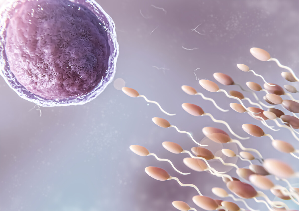Como é feito o exame de fertilidade masculina - Ilumini Clinic